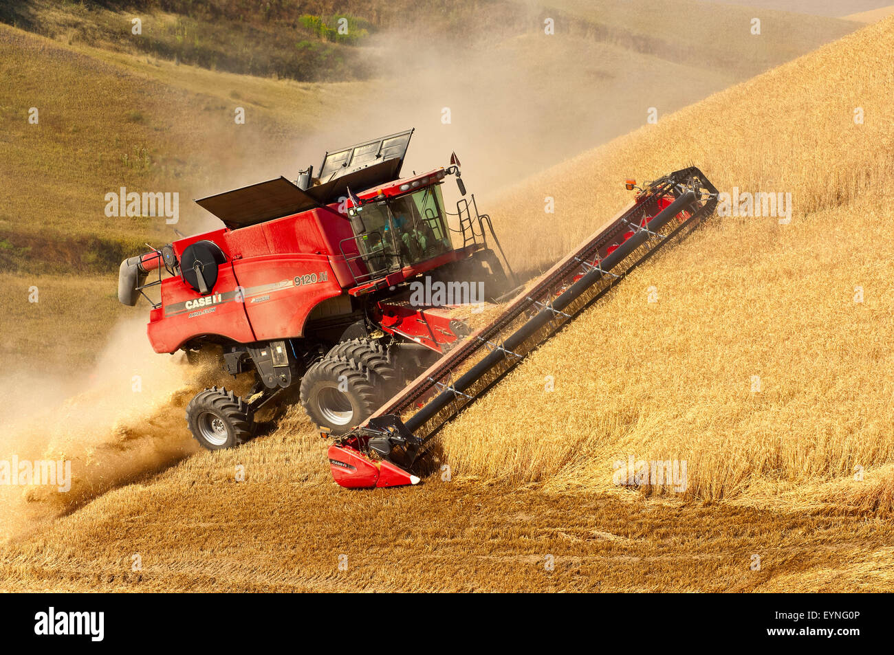 A Case combine harvests grain in the Palouse region of Washington Stock ...