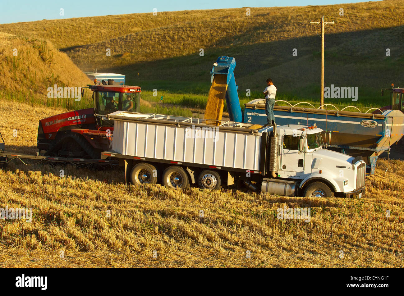 Truck Unloading Grain Stock Photos & Truck Unloading Grain Stock Images ...