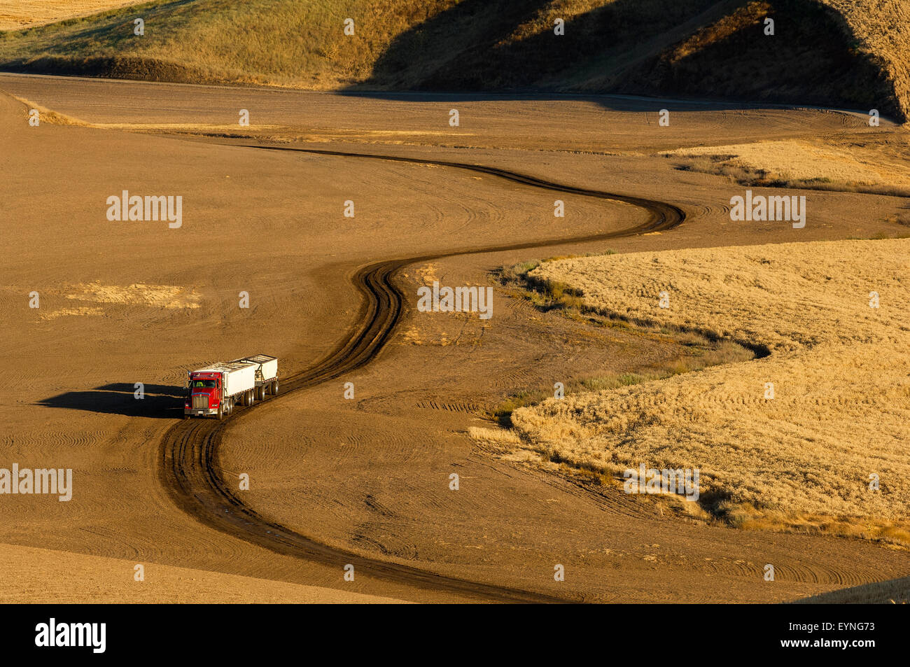 A grain truck traverses a field during harvest in the Palouse region of ...