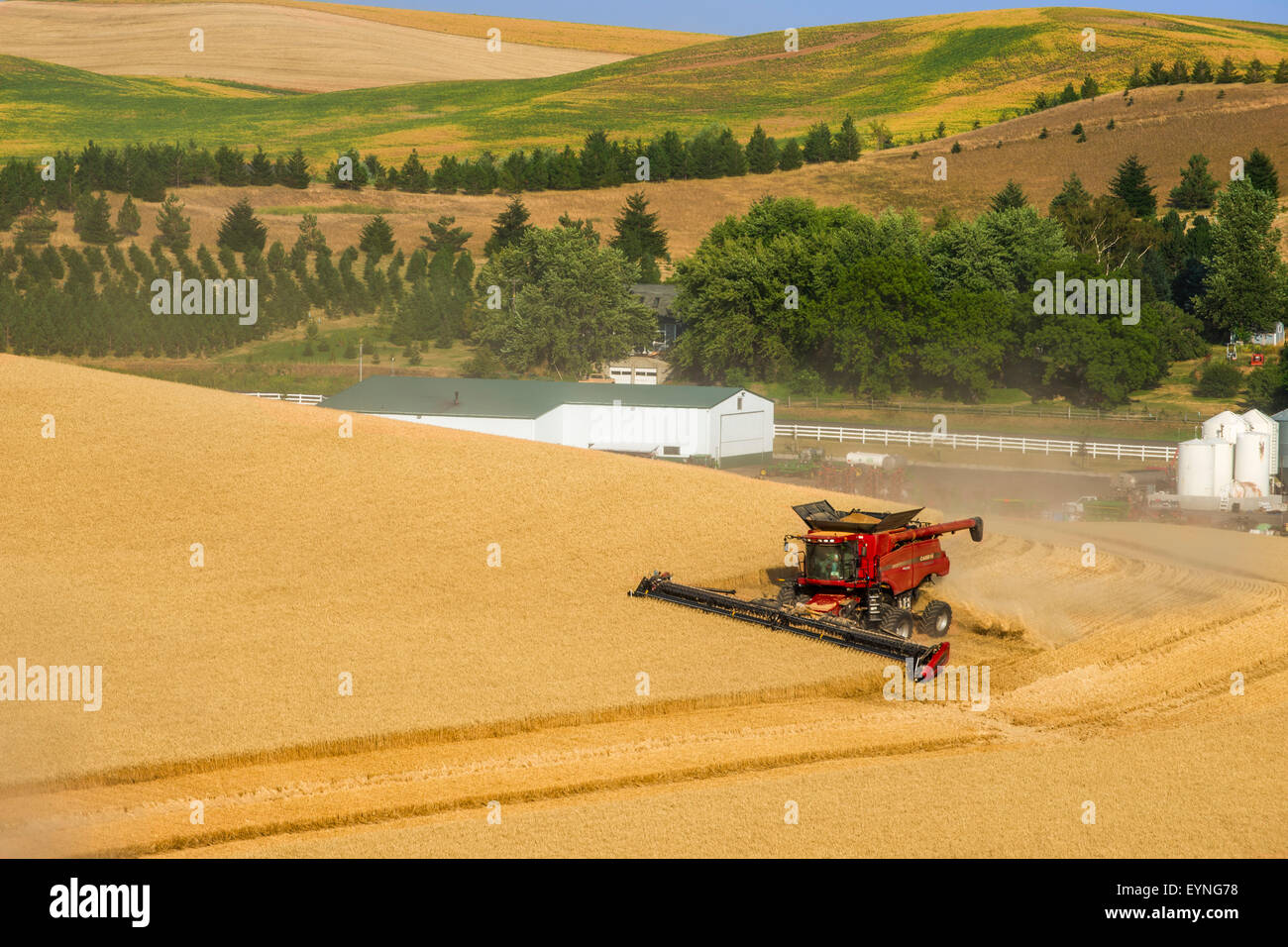 Case combine harvests grain on the hills of the Palouse region of ...