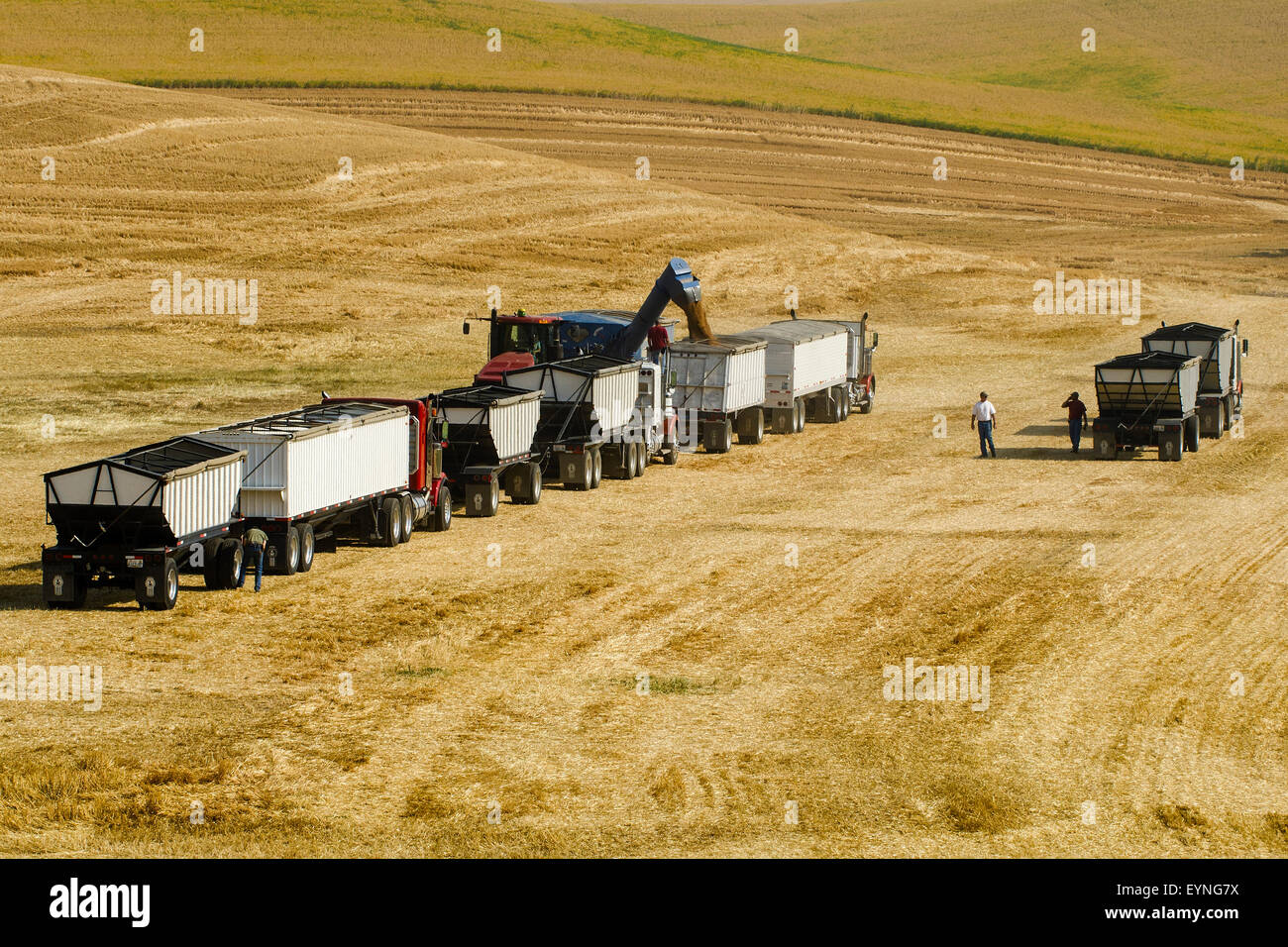 Trucks trailers tractor grain cart hi-res stock photography and images ...