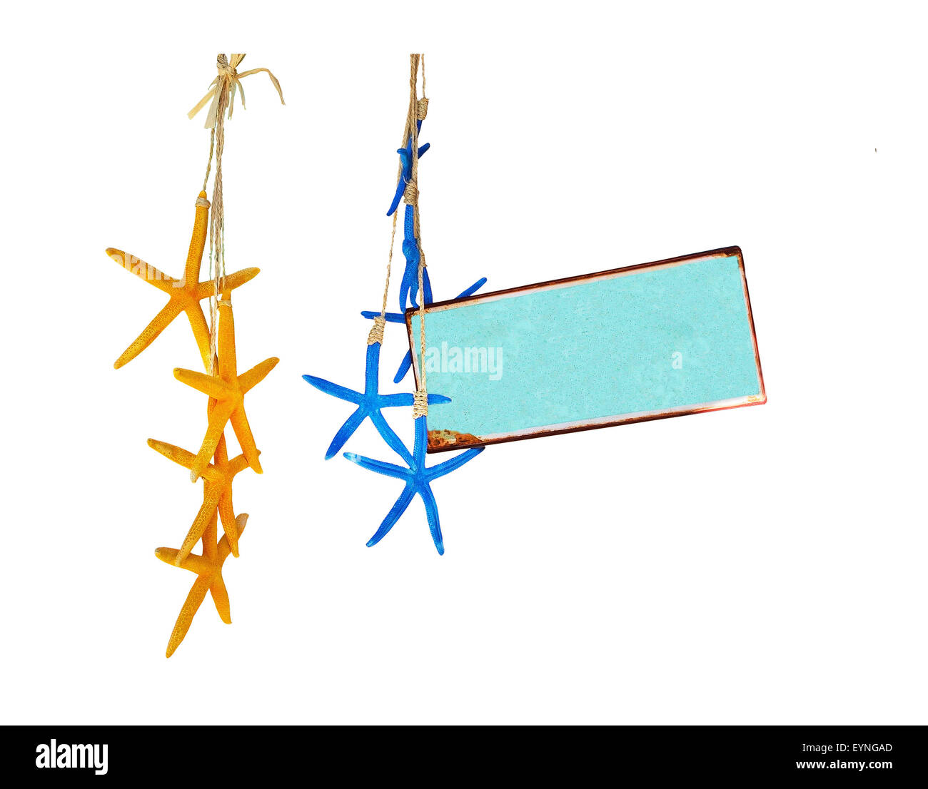 Marine theme aqua turquoise plate with blue and yellow seastars for ...