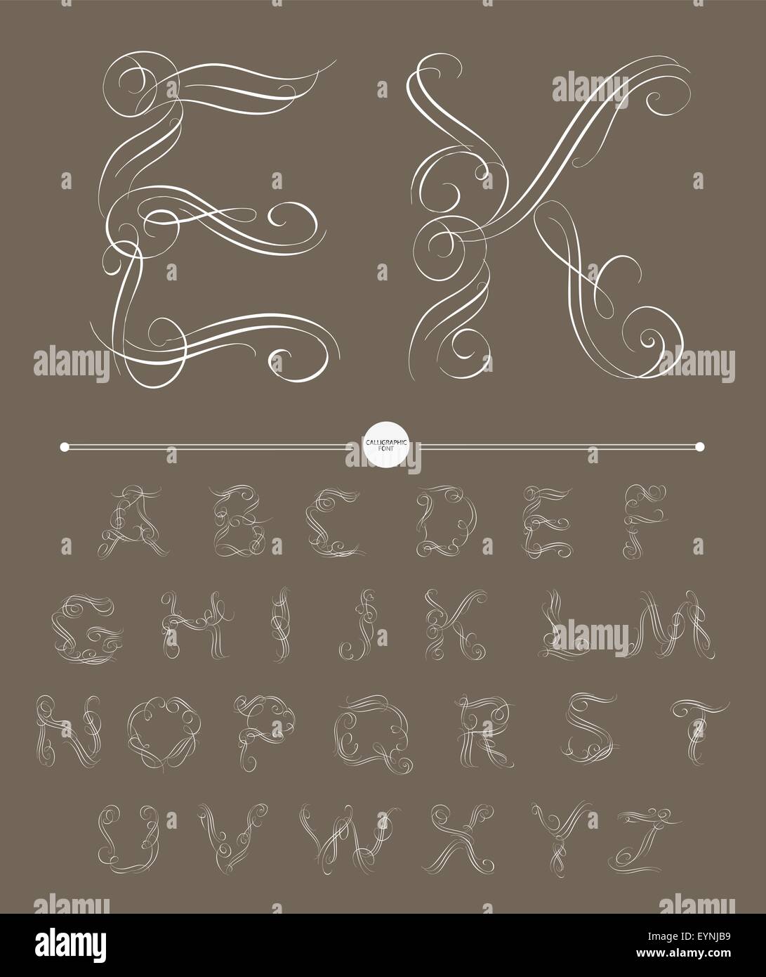 Calligraphic alphabet. Design elements Stock Vector Image & Art - Alamy