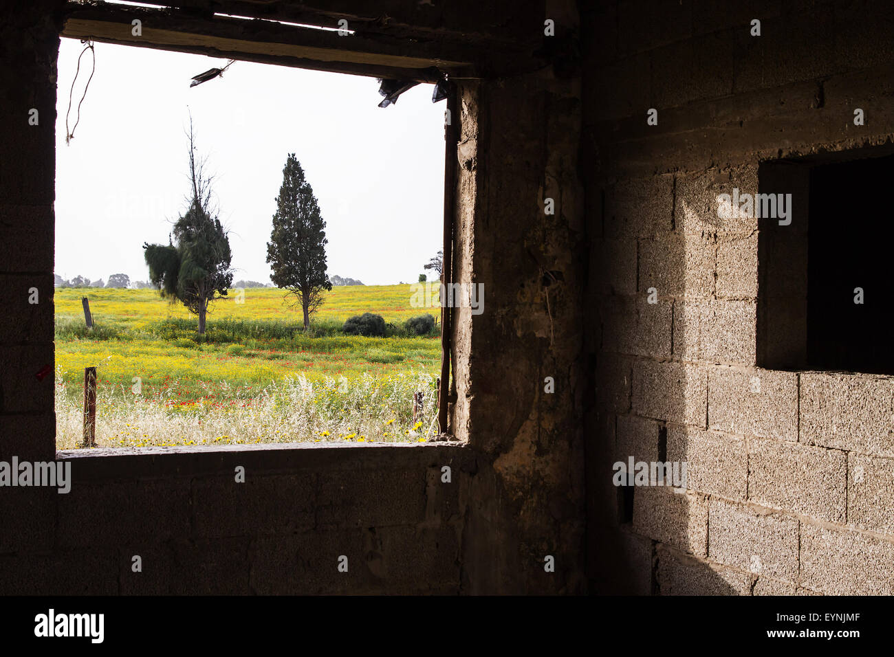 A beautiful view of summer from the old window Stock Photo - Alamy