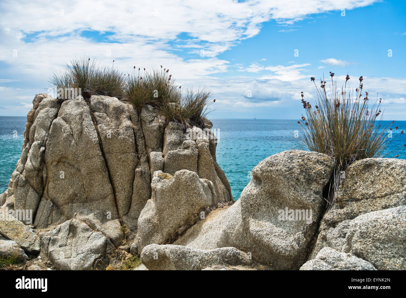 Sea rocks and mediterranean dry grass at morning, west coast of ...