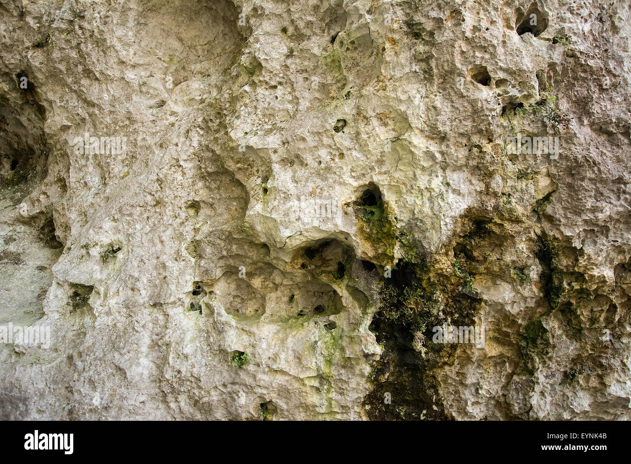 Limestone background hi-res stock photography and images - Alamy