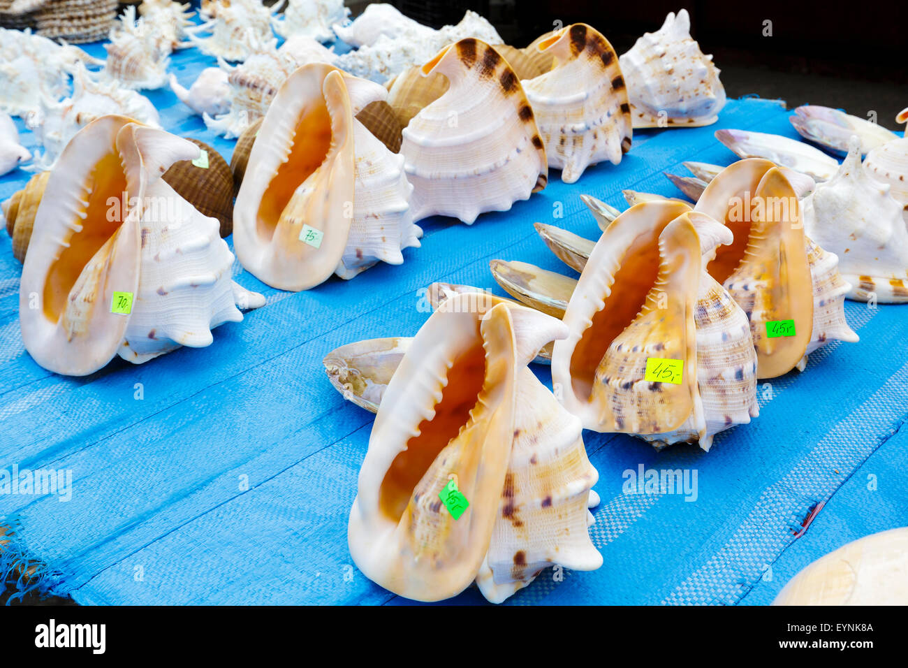 Conch stand High Resolution Stock Photography and Images - Alamy