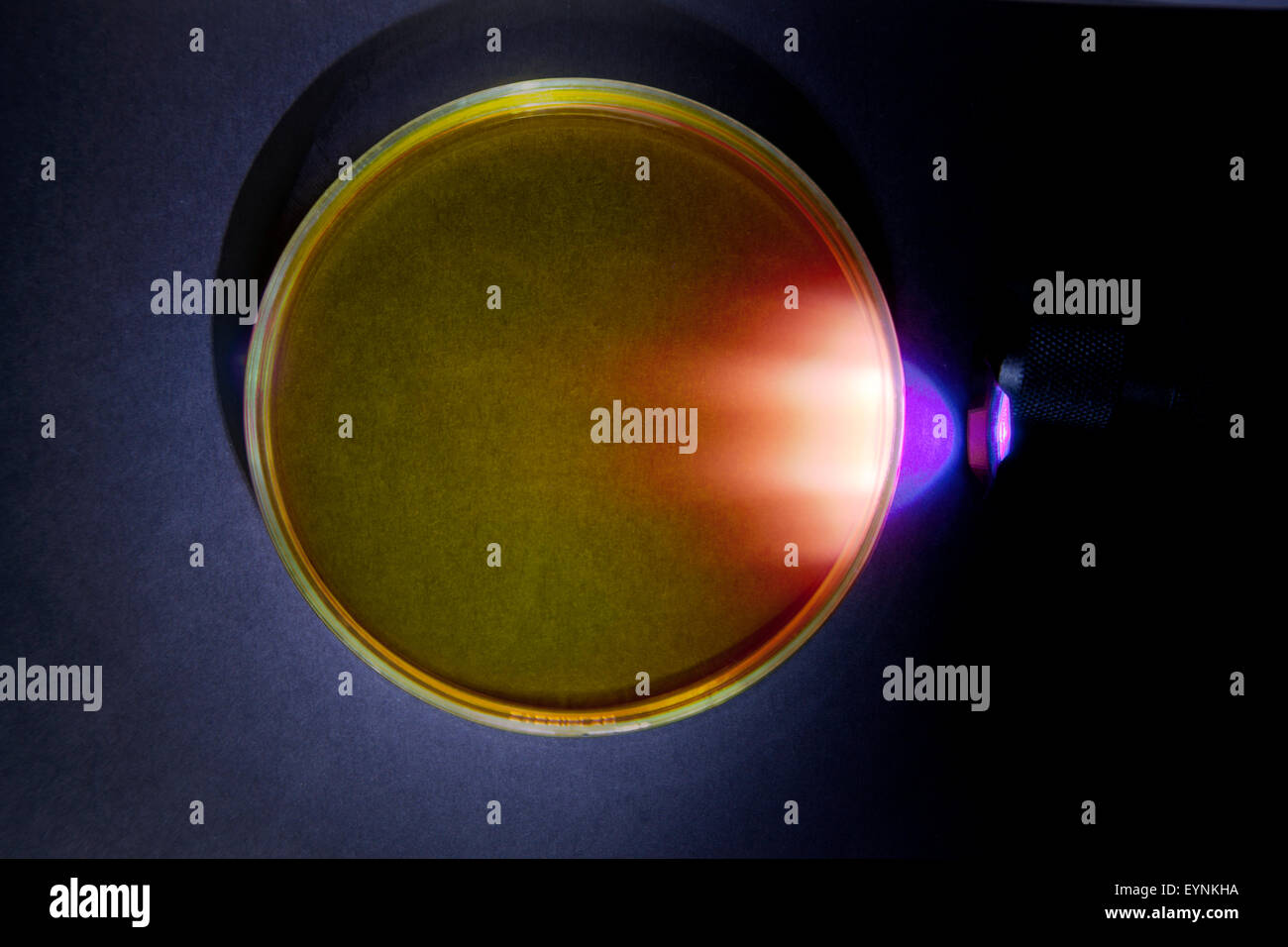 Fluorescence chemical hi-res stock photography and images - Alamy