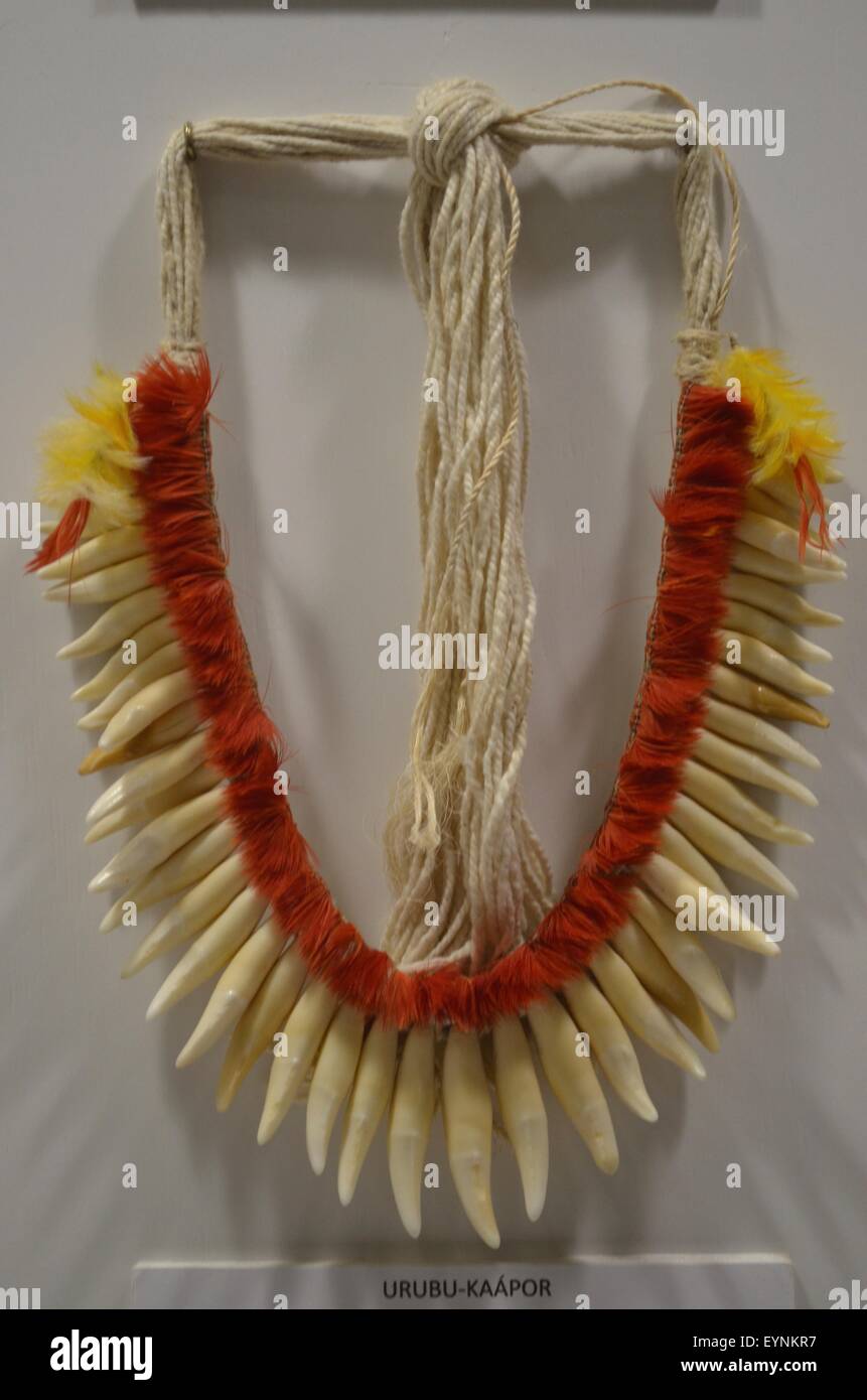 Amazonian tribal necklace made of Jaguar teeth and Macaw feathers Stock ...
