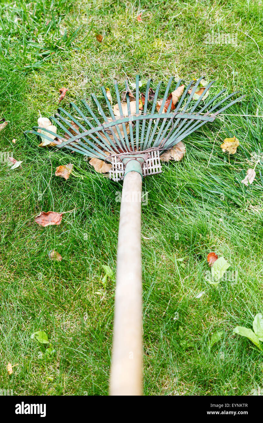 Rake leaves summer hi-res stock photography and images - Alamy