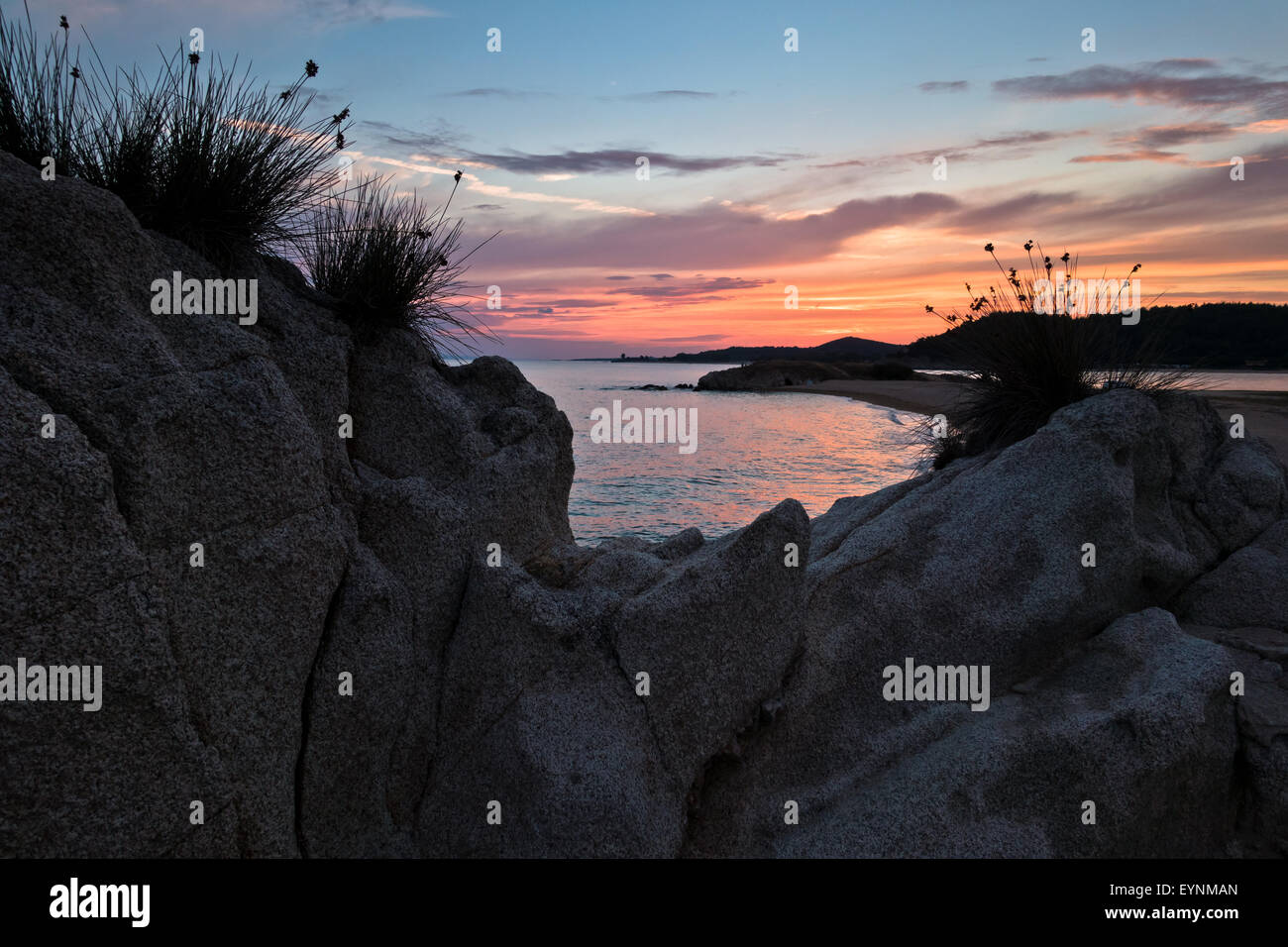 Sea rocks and mediterranean dry grass at sunset, west coast of ...