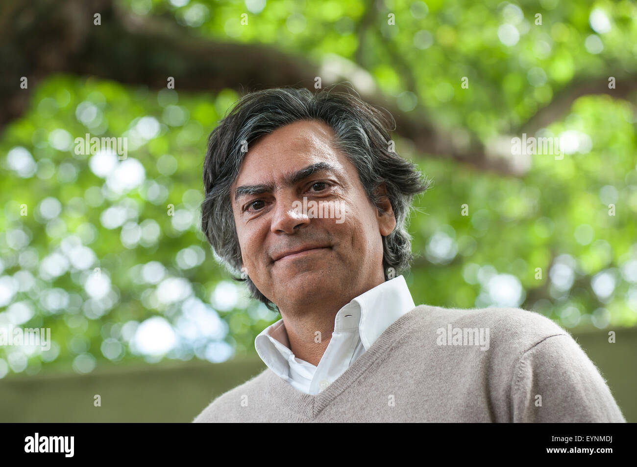 Brazilian writer, journalist and TV commentator, Diogo Mainardi ...