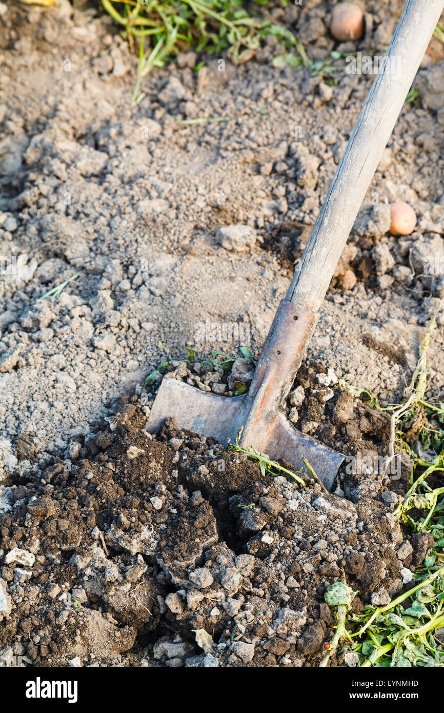 Agrarian field hi-res stock photography and images - Alamy