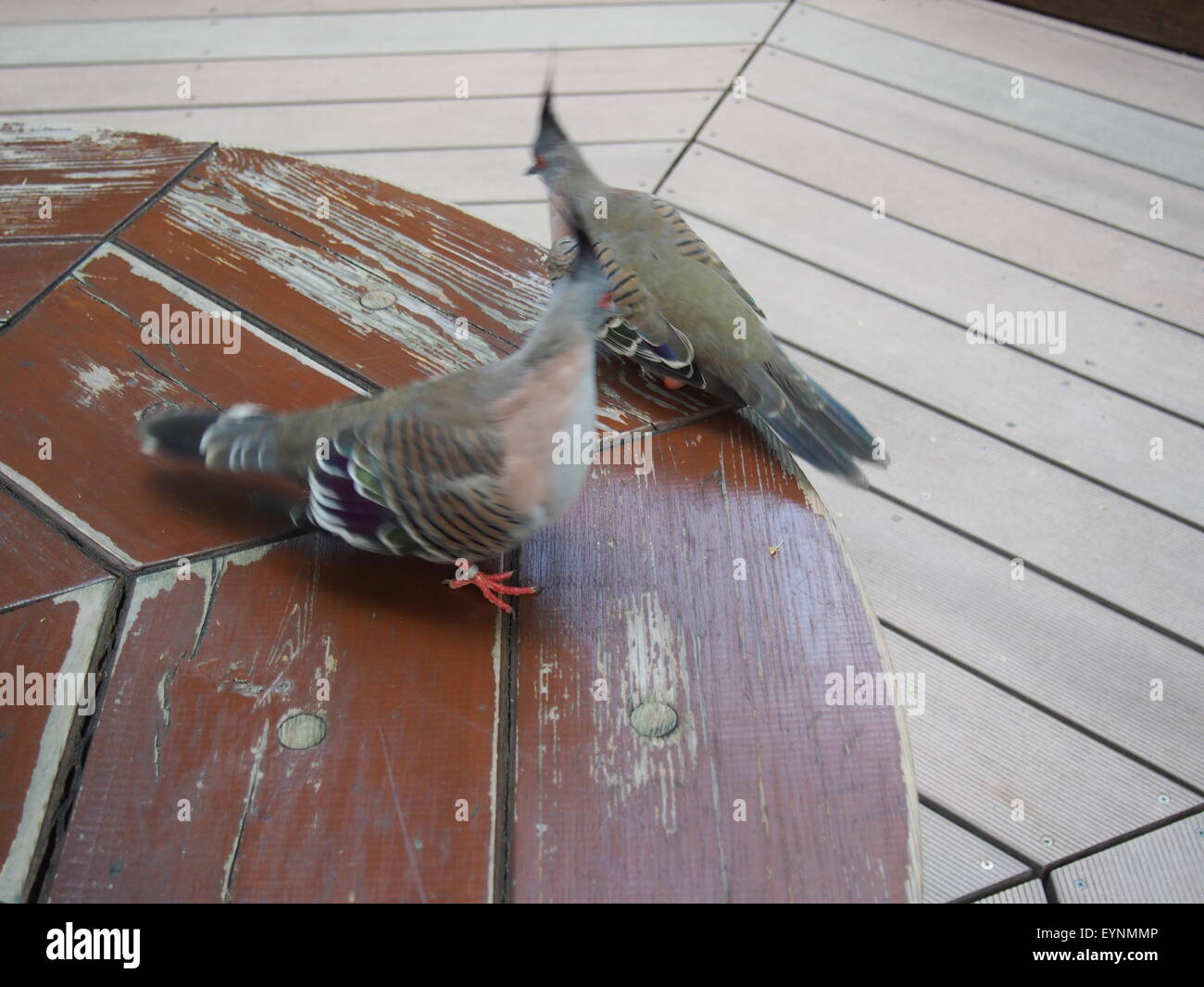 Take the floor hi-res stock photography and images - Alamy