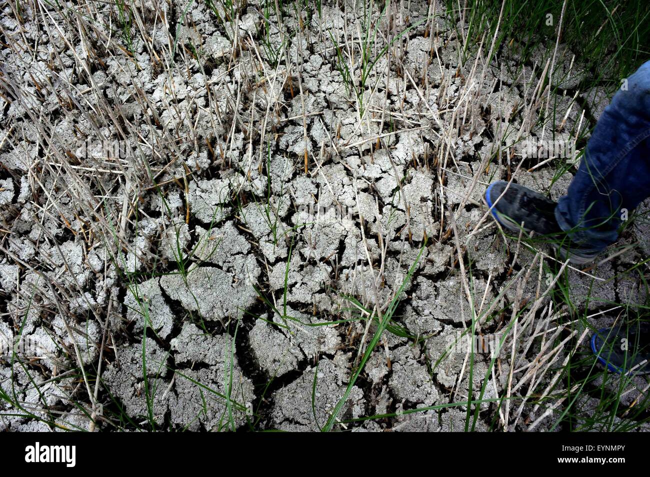 Less rainfall hi-res stock photography and images - Alamy