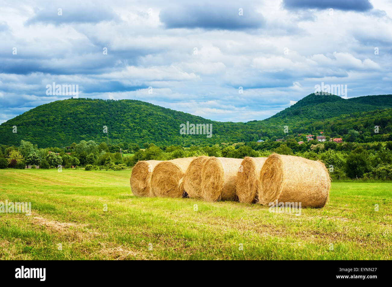 Bale bale hi-res stock photography and images - Alamy