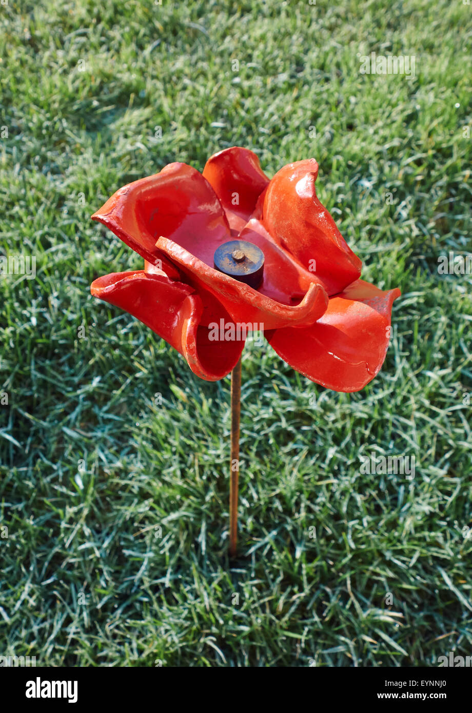Ceramic poppy hi-res stock photography and images - Alamy