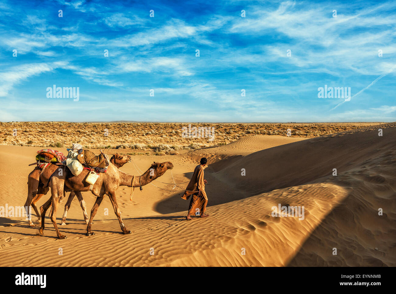 Man desert walk camels hi-res stock photography and images - Alamy