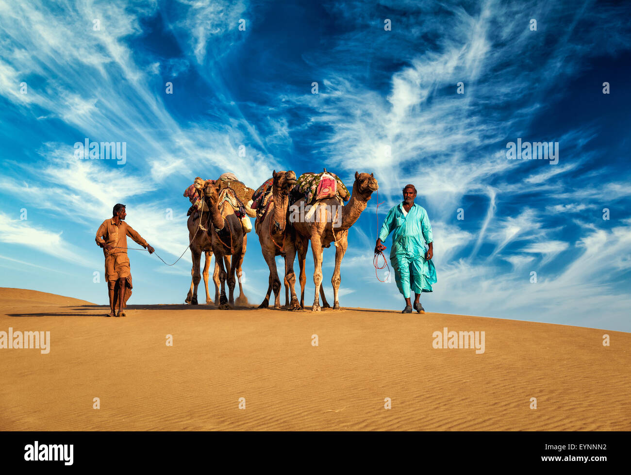 Two cameleers camel drivers with camels in dunes of Thar desert Stock ...