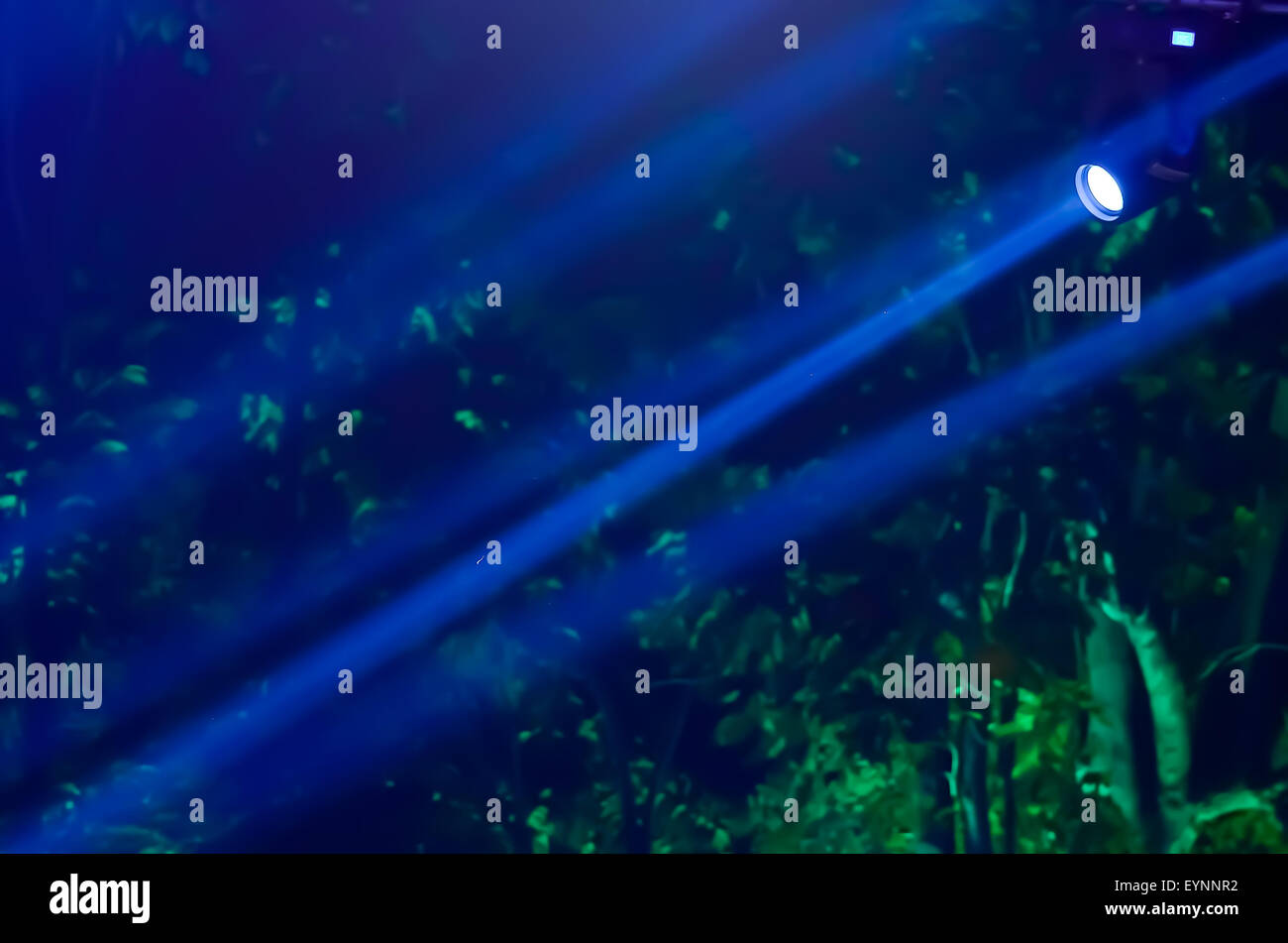 Light floor projection hi-res stock photography and images - Alamy