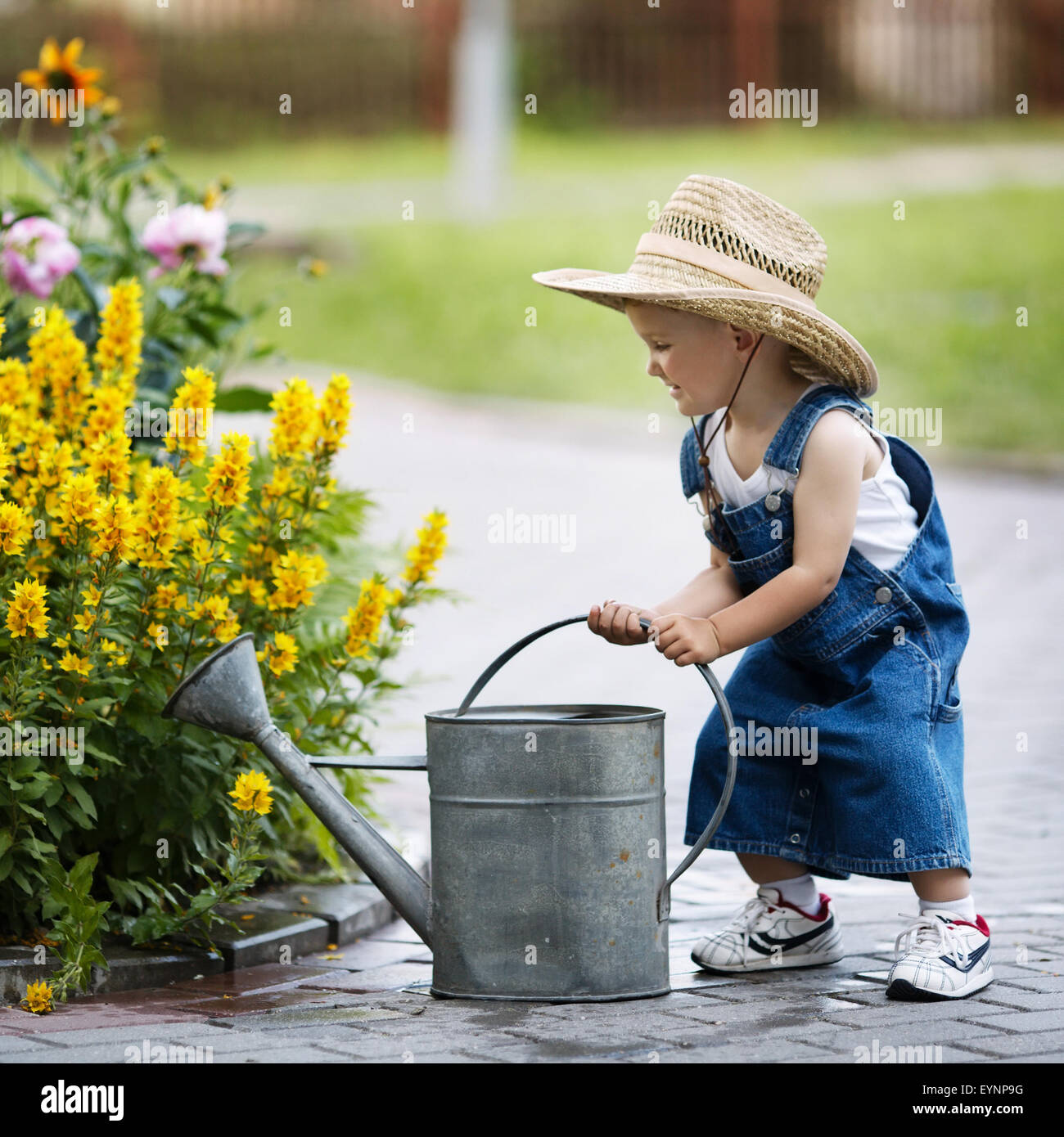 little boy with watering can in summer park Stock Photo - Alamy