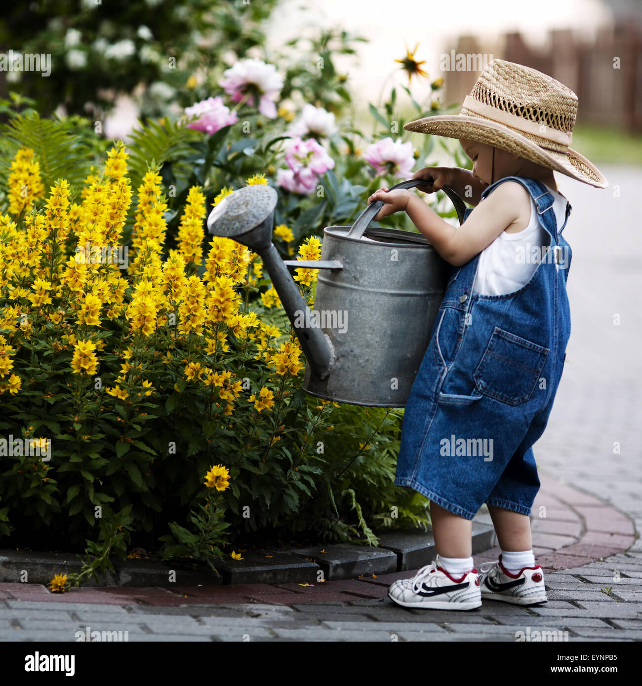 little boy with watering can in summer park Stock Photo - Alamy