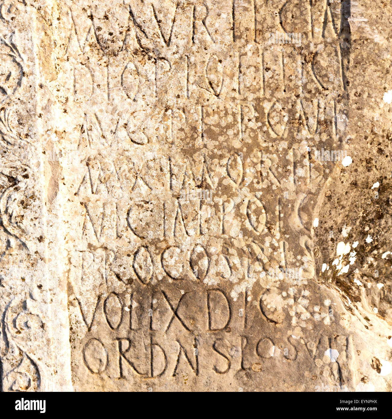 tombstone in africa morocco graveyard marble and concrete Stock Photo ...