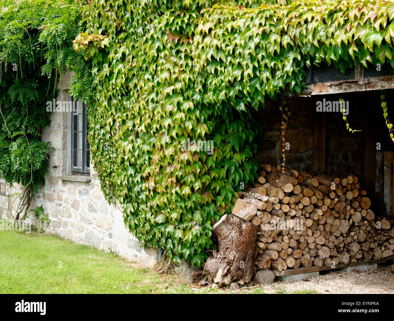 Stack of logs beside house, Roche, Cornwall, UK Stock Photo - Alamy