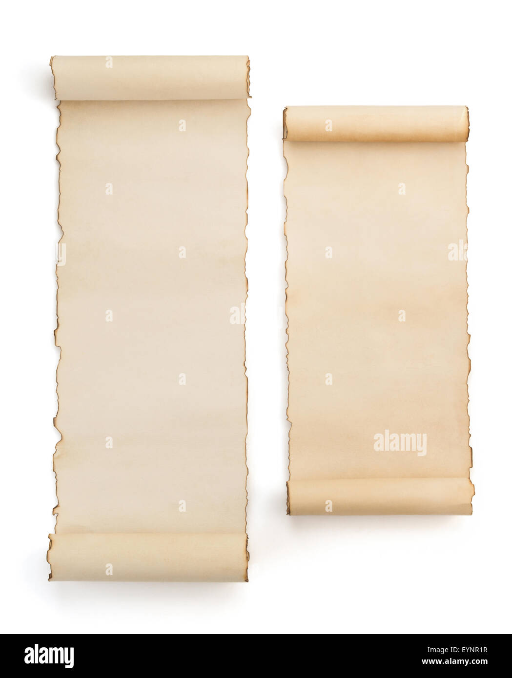 parchment scroll isolated on white background Stock Photo - Alamy