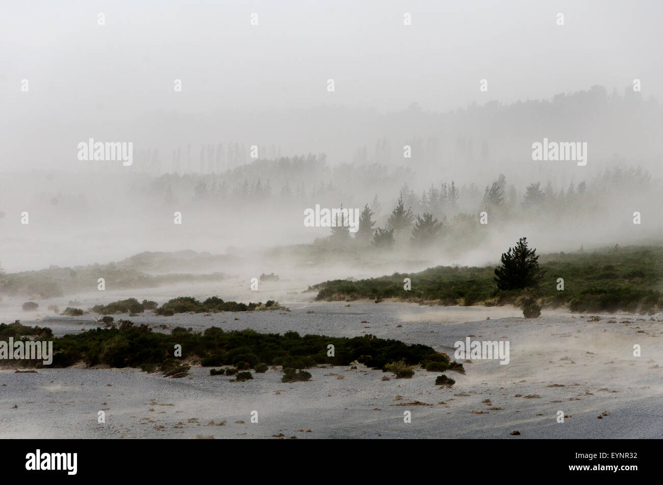 Dust storm in river bed, Waimakariri River, Canterbury, South Island ...