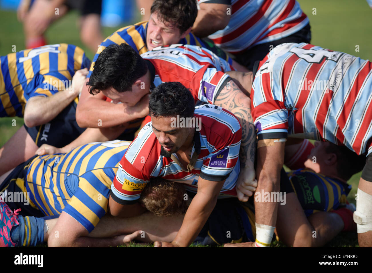 University rugby club hi-res stock photography and images - Alamy