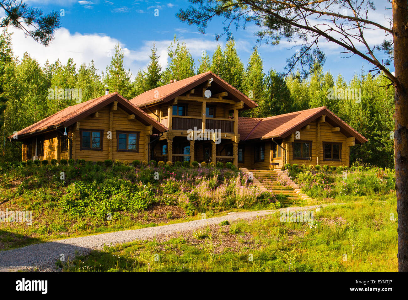 Finland forest east hi-res stock photography and images - Alamy