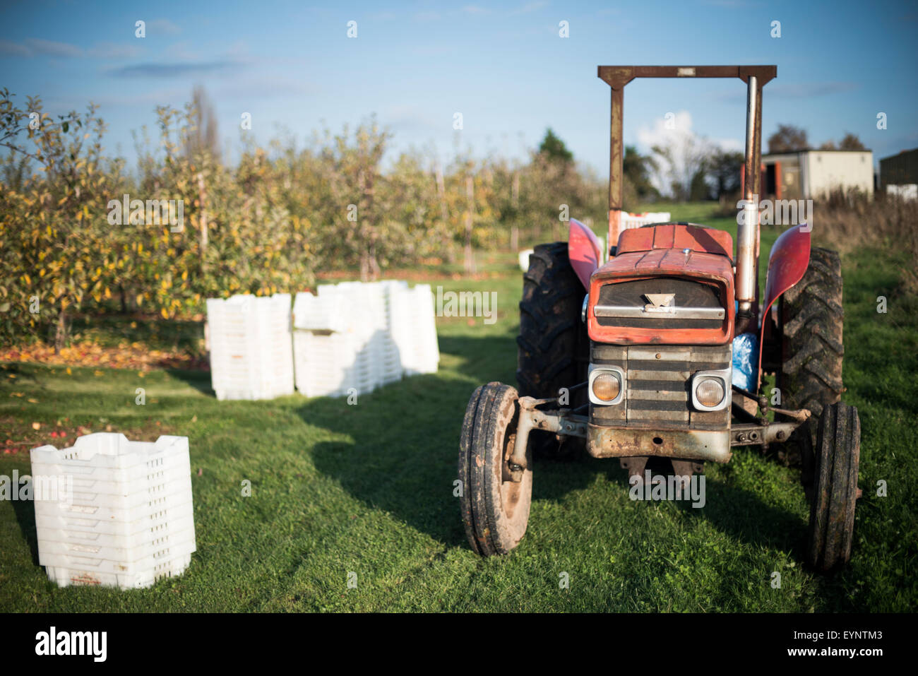 Apple harvesting equipment hi-res stock photography and images - Alamy