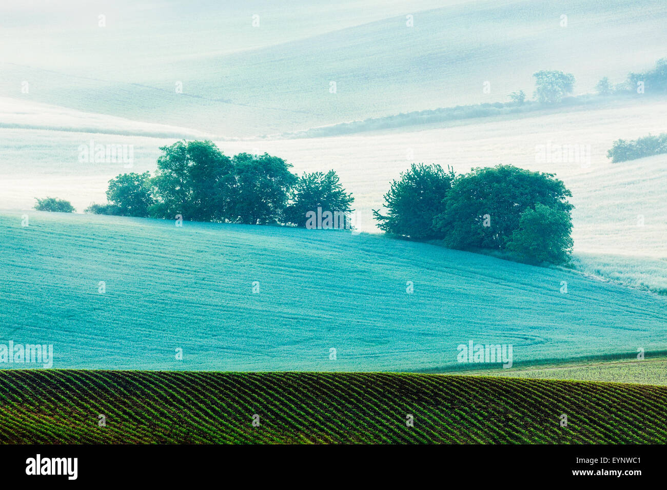 Rolling landscape of South Moravia in the morning Stock Photo - Alamy