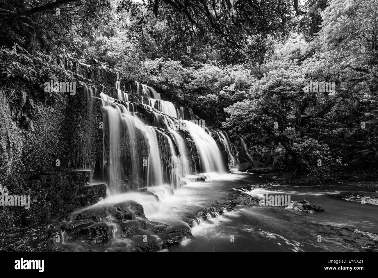 Nz spring Black and White Stock Photos & Images - Alamy