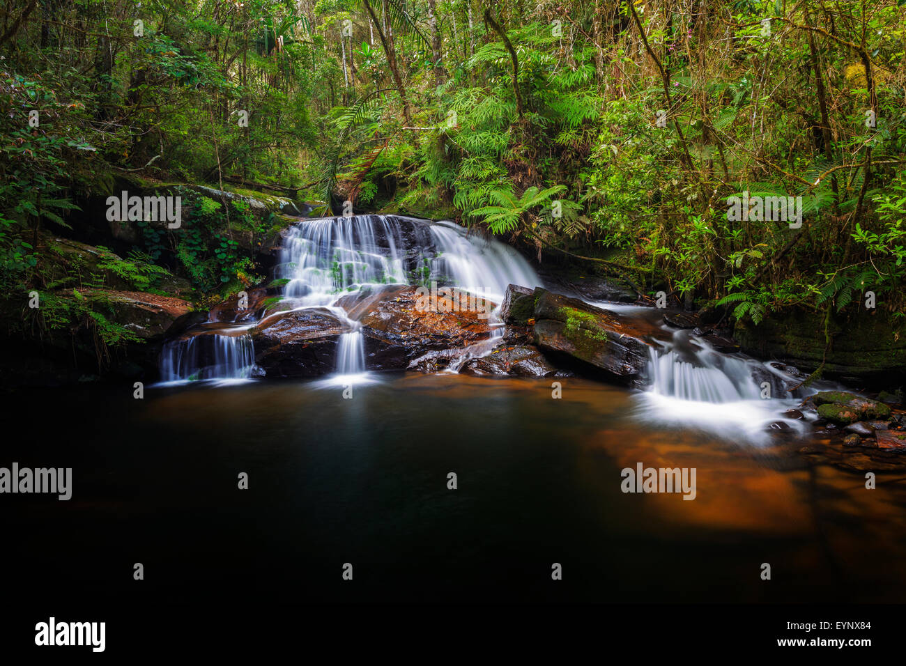 A waterfall in the rainforest of Andasibe Mantadia National Park ...