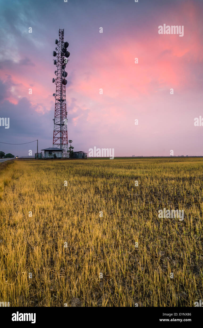 Beautiful sunset sekinchan paddy field High Resolution Stock ...