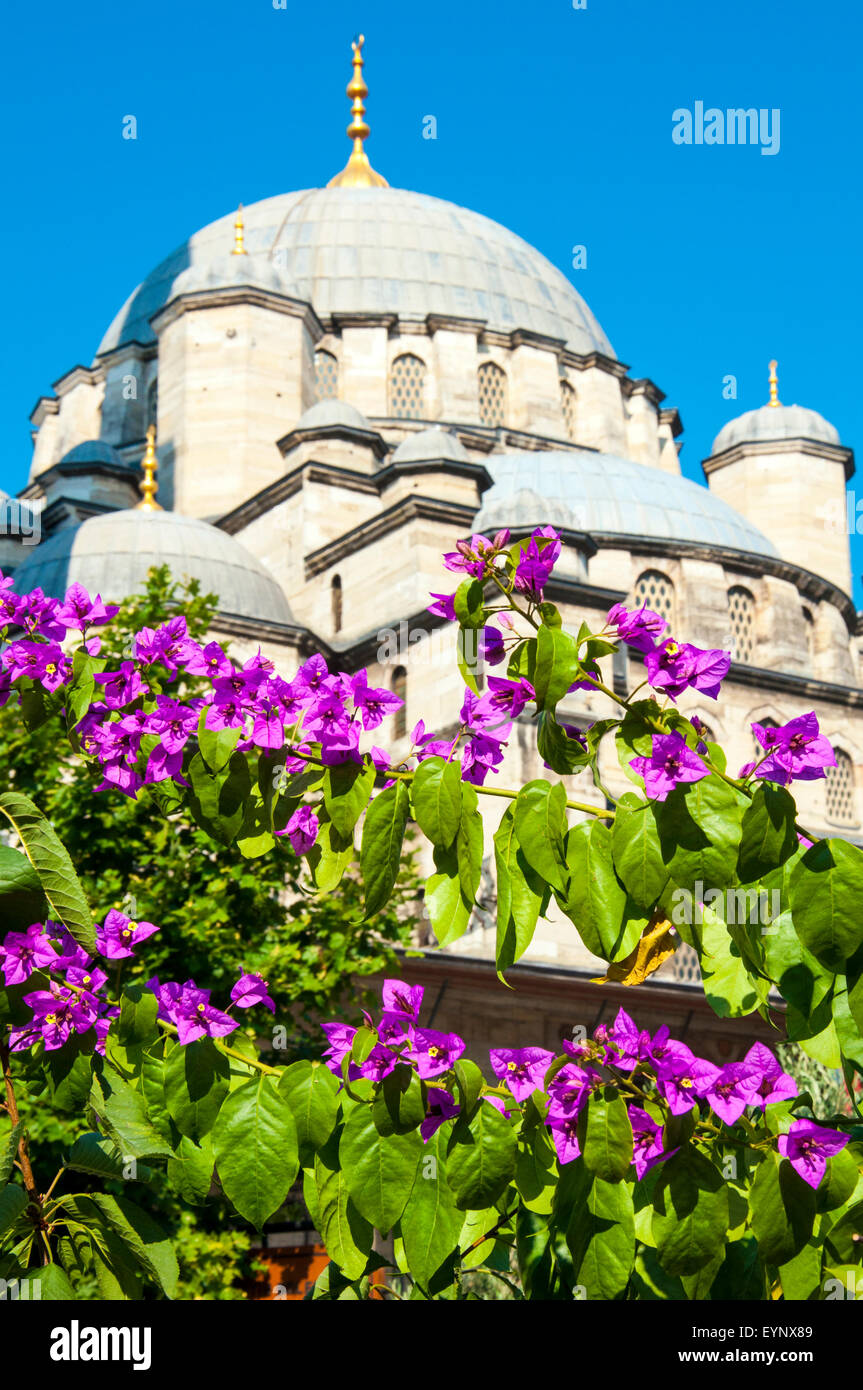 Flowers and in the background the New Mosque in Istanbul, Turkey Stock ...