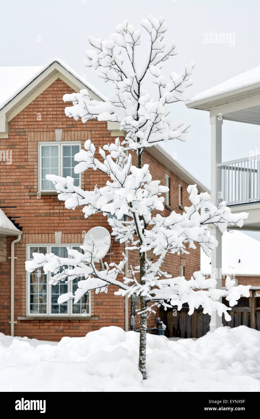 The town of snow white hi-res stock photography and images - Alamy