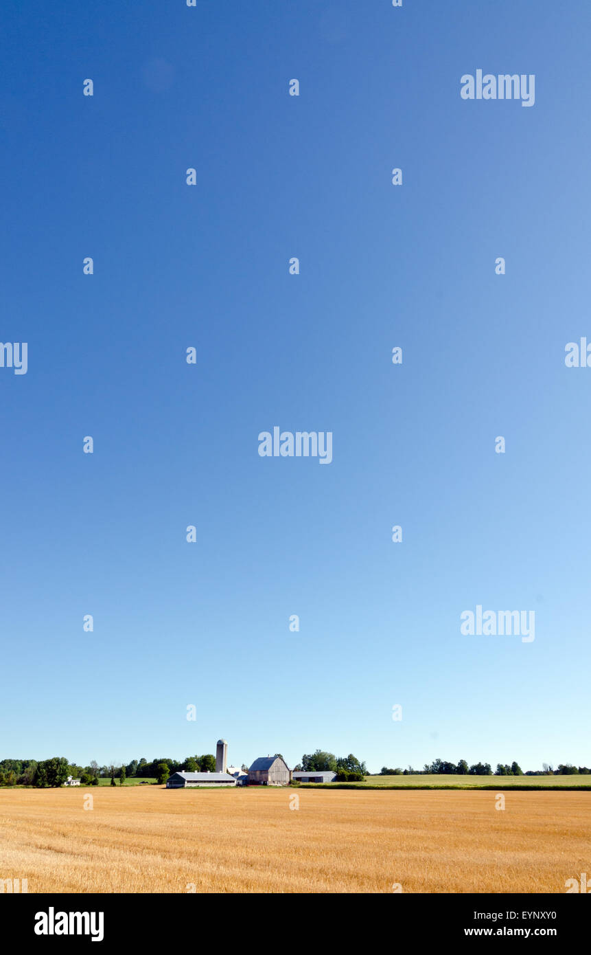 Compressed grass hi-res stock photography and images - Alamy