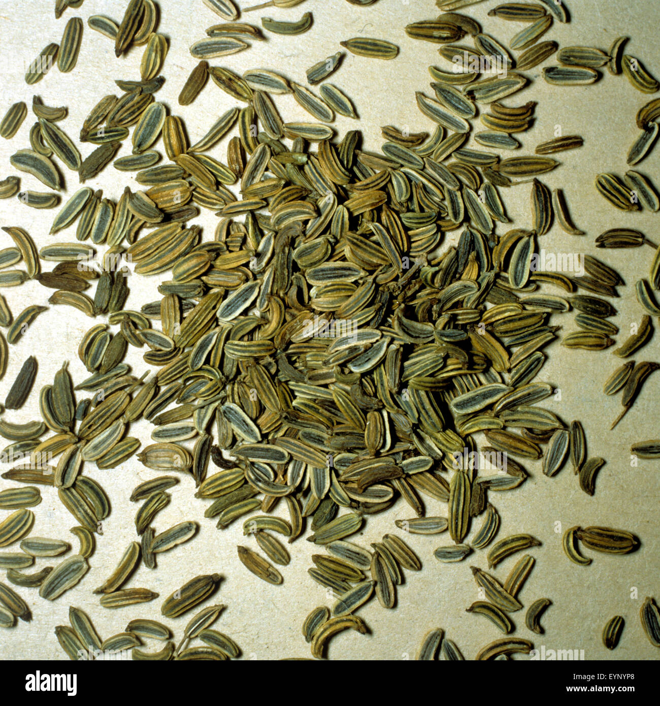 Fenchel seeds hi-res stock photography and images - Alamy