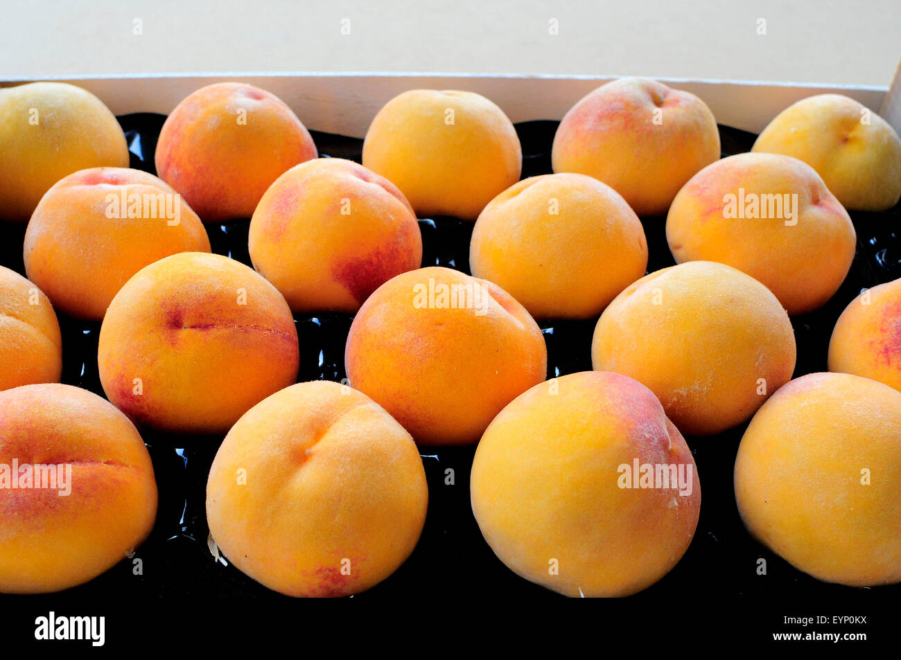 PEACHES FORDAL from the Ordal, Anoia. Provincia de Barcelona. Catalonia ...