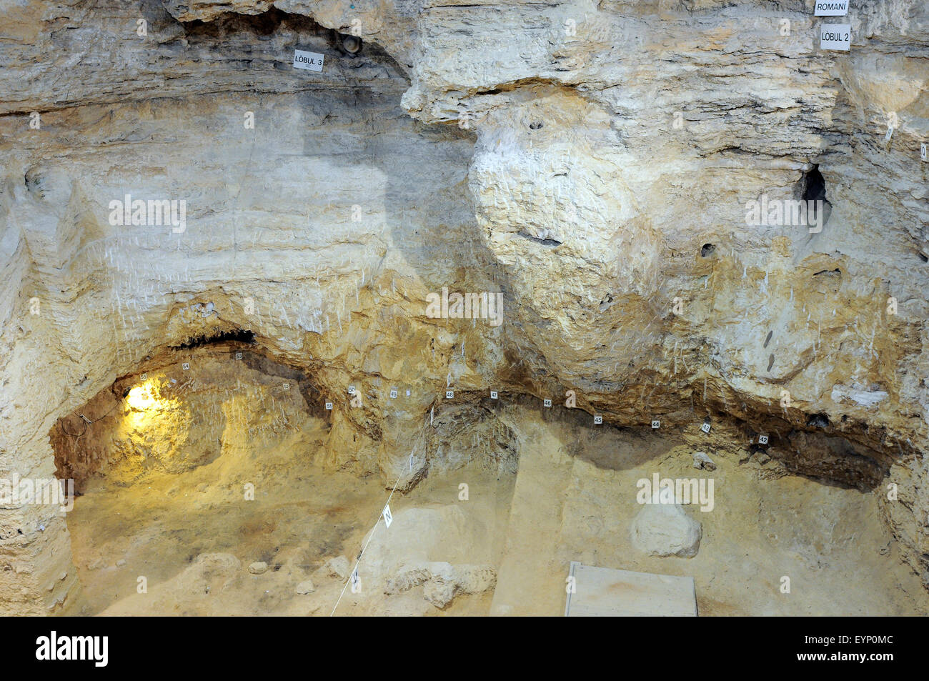 The Abric Romaní, a shelter opened in the travertine Capelló Cliff, is ...