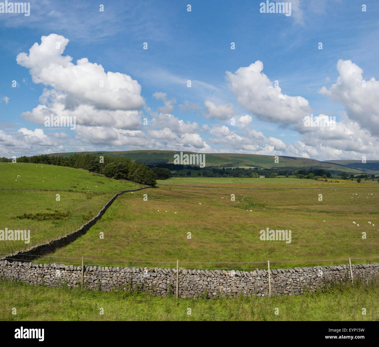 Lancashire field wall hi-res stock photography and images - Alamy