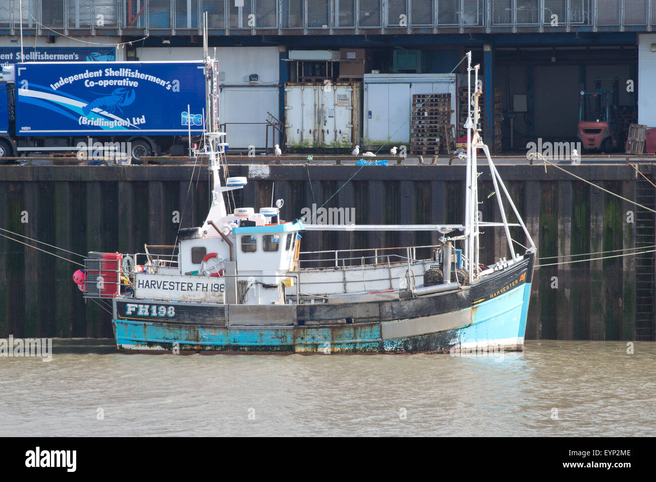 Fishing boat in Bridlington Harbour unloading fish Stock Photo - Alamy
