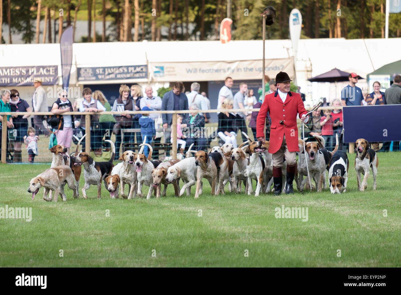 CLA Game Fair 2015 Harewood Stock Photo - Alamy