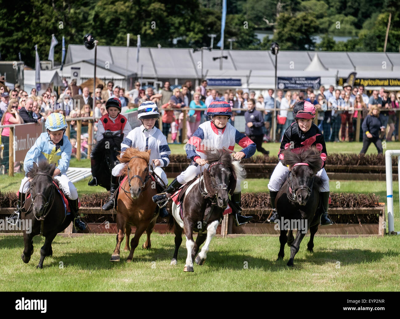 CLA Game Fair 2015 Harewood Stock Photo - Alamy