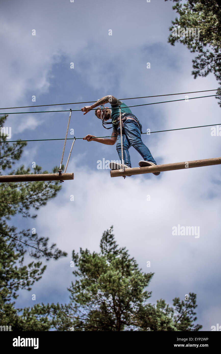 A man on a high rope looking down in the tree tops at Go Ape Activity ...