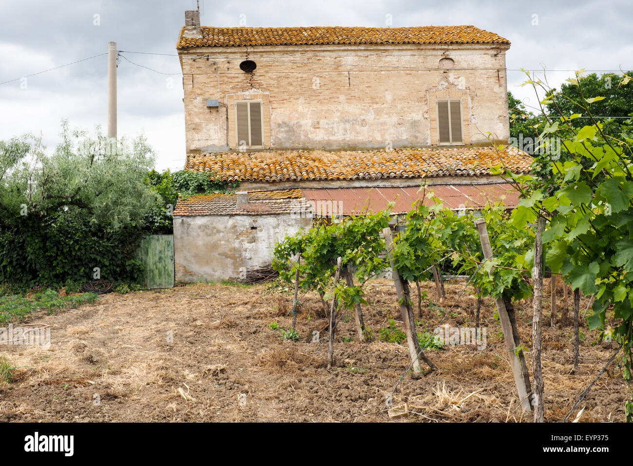 Farmhouse on a vineyard Stock Photo - Alamy