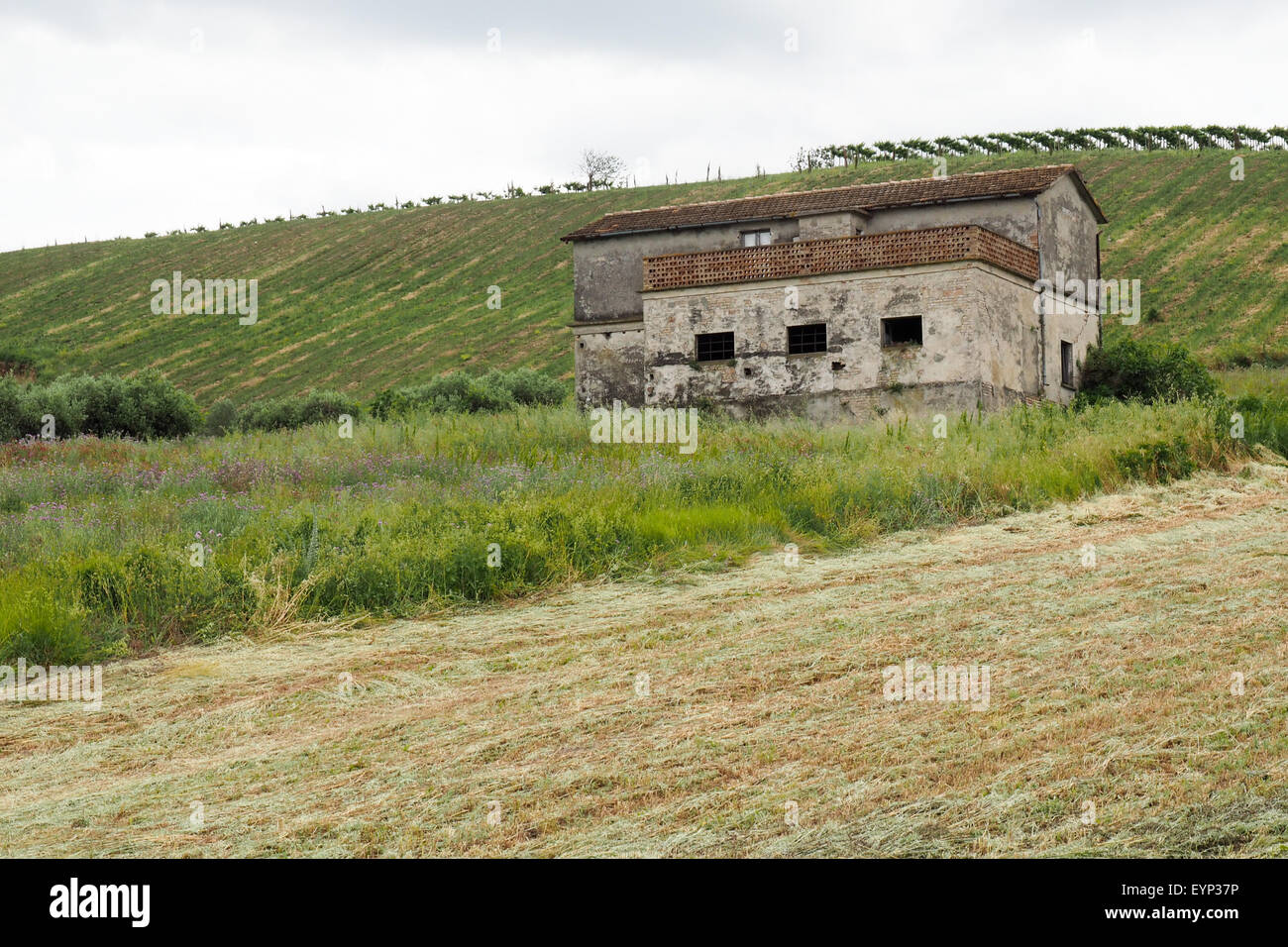 Abandoned farmhouse ruins hi-res stock photography and images - Alamy